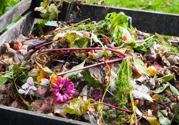 Quelle utilisation pour des déchets floraux ? | Gazon-magique.com