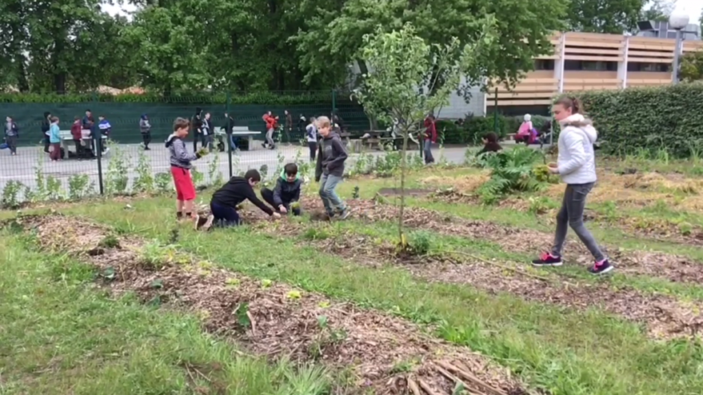 Comprendre le concept de la permaculture | Gazon-magique.com